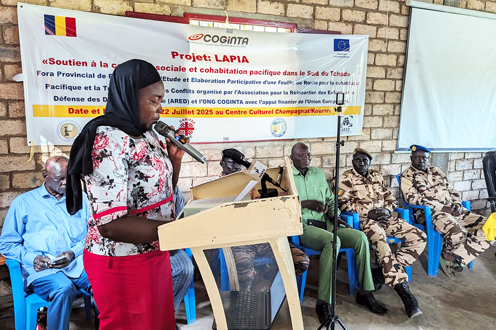 Chad: Organization of provincial forums on peaceful cohabitation - Coginta